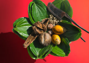 Bulath wita [ A Chew of betel ] – Lime Cabanas Sri Lanka Accommodation